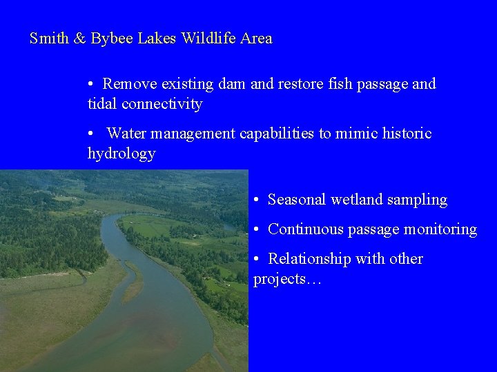 Evaluate Juvenile Salmonid Use of Restored Floodplain Wetlands