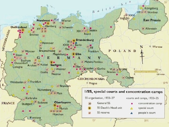 The Weimar Republic and the Rise of Hitler