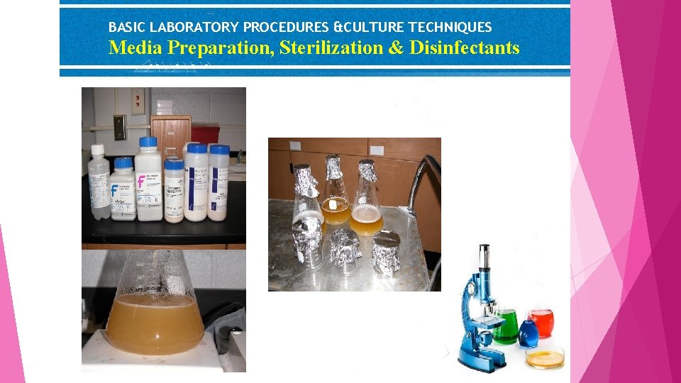 Media preparation sterilization and disinfectants Lab 3 Objective