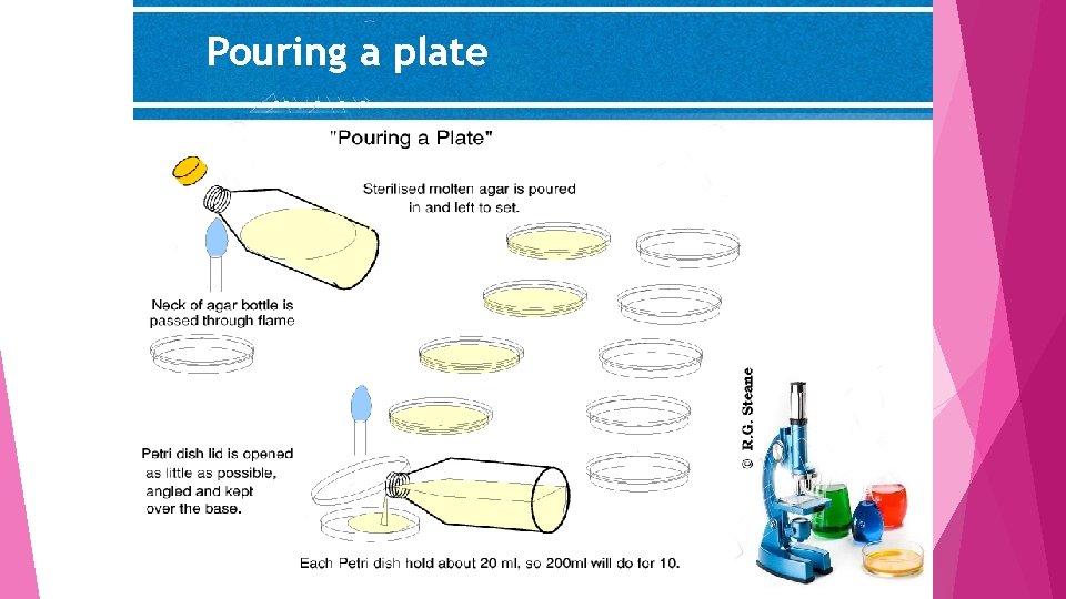 Media preparation sterilization and disinfectants Lab 3 Objective