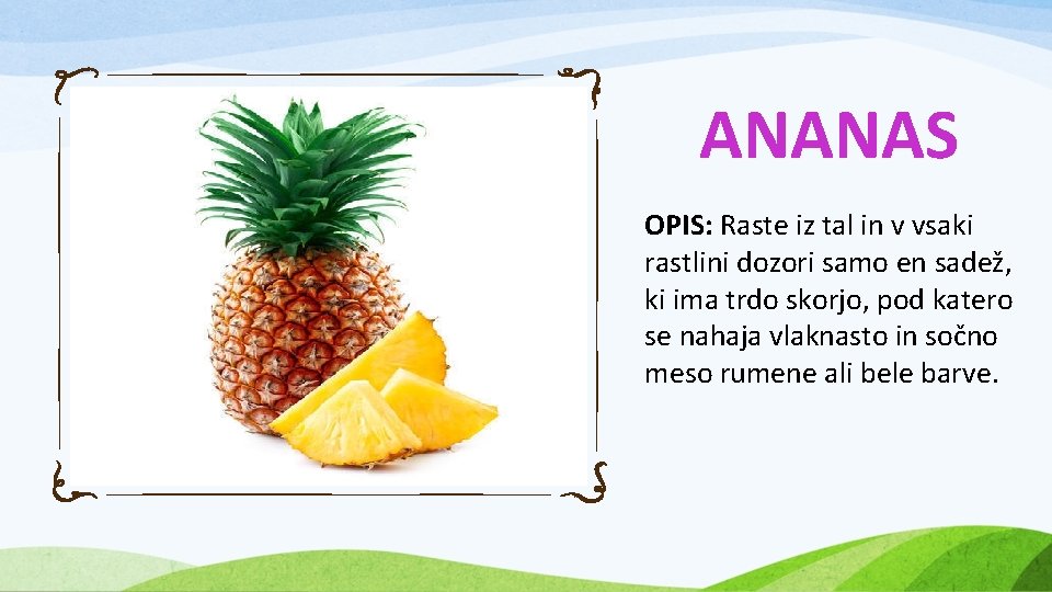 SVETOVNI DAN HRANE 16 10 2020 SVETOVNI DAN