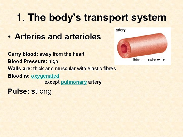 Heart and Circulation Lecture A Niedzviecki 1 The