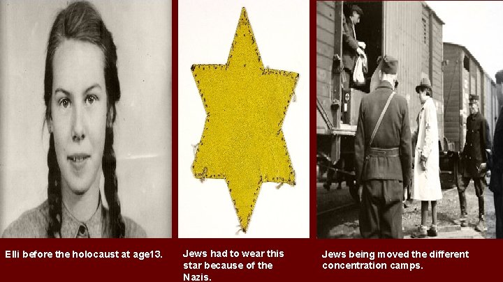 My Holocaust Survivor By Mark Martin Harrison Ormes