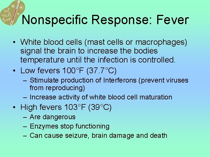Immune Response LN 13 Body Response Your body