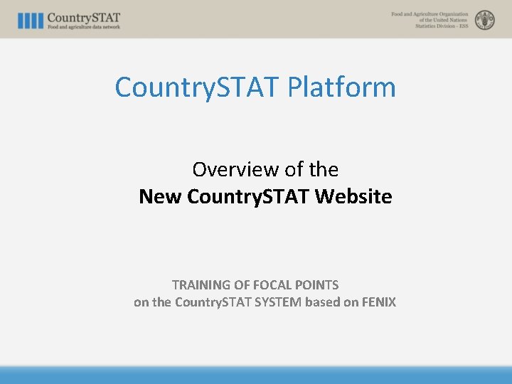 Country STAT Platform Overview of the New Country