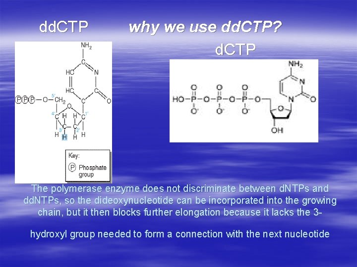 Chapter 7 Analyzing DNA gene structure variation expression