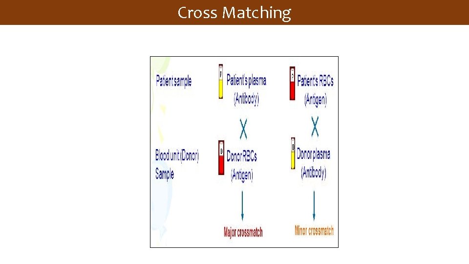 Blood transfusion Physiology By Dr Sunita Mittal Learning