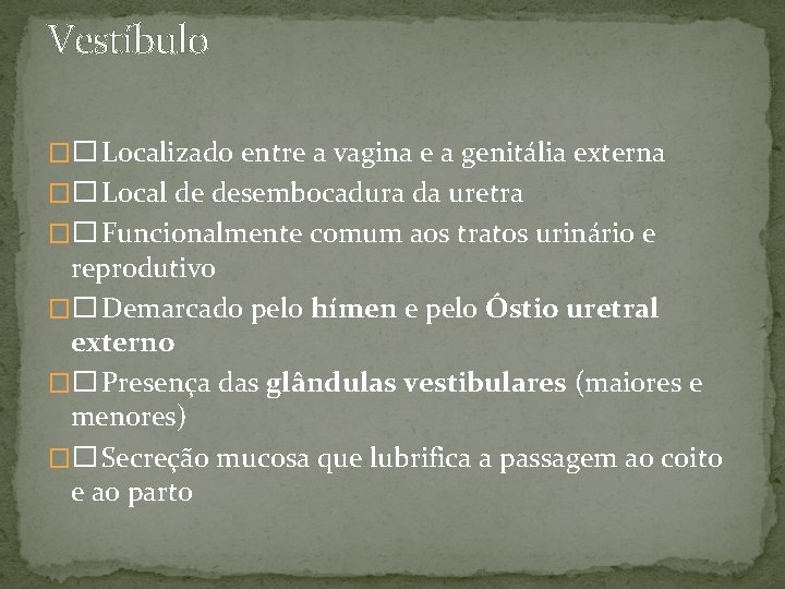 Anatomia da reproduo Animais domsticos rgos reprodutores Ovrio