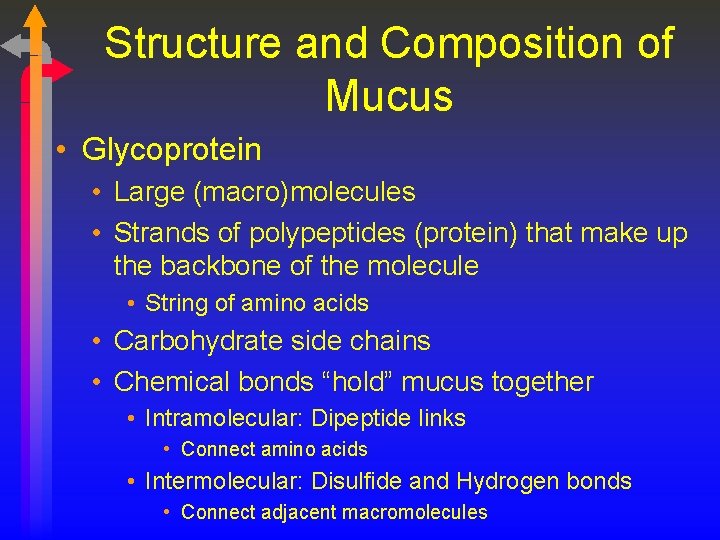 Mucolytics Module E Mucolysis Mucolysis is the breakdown