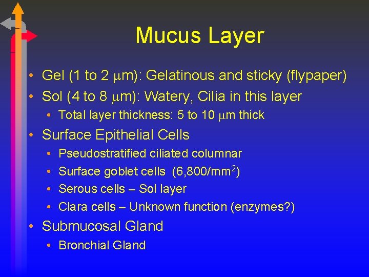 Mucolytics Module E Mucolysis Mucolysis is the breakdown
