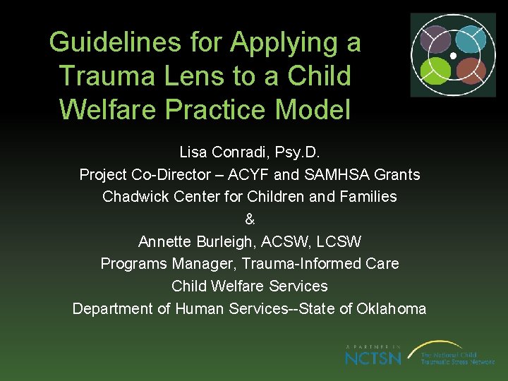 Guidelines for Applying a Trauma Lens to a