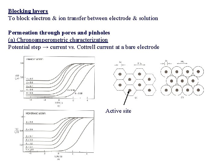 Electroactive layers and modified electrodes Ch 14 Types