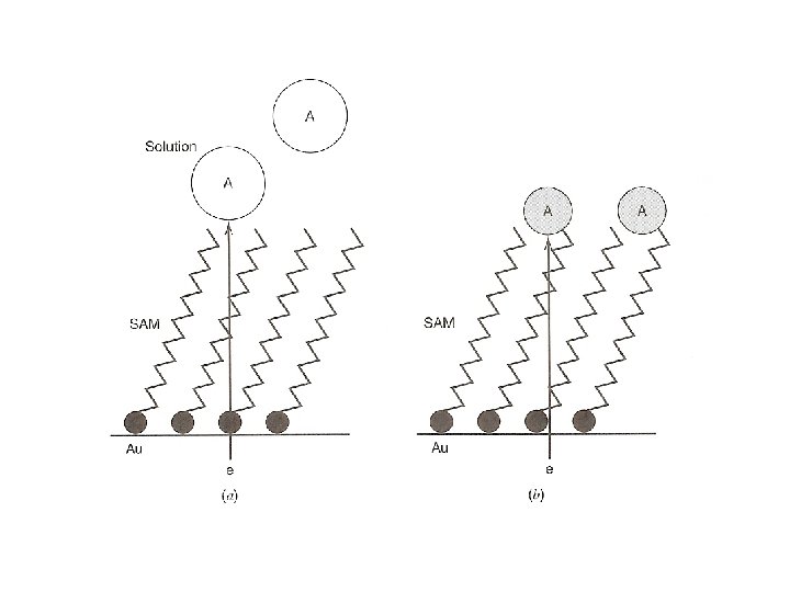 Electroactive layers and modified electrodes Ch 14 Types