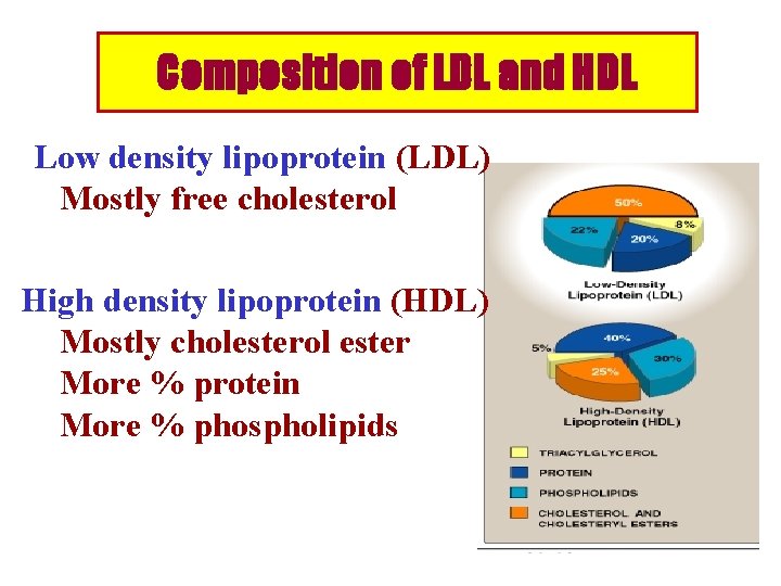 Lipoproteins and Atherosclerosis By Reem M Sallam M