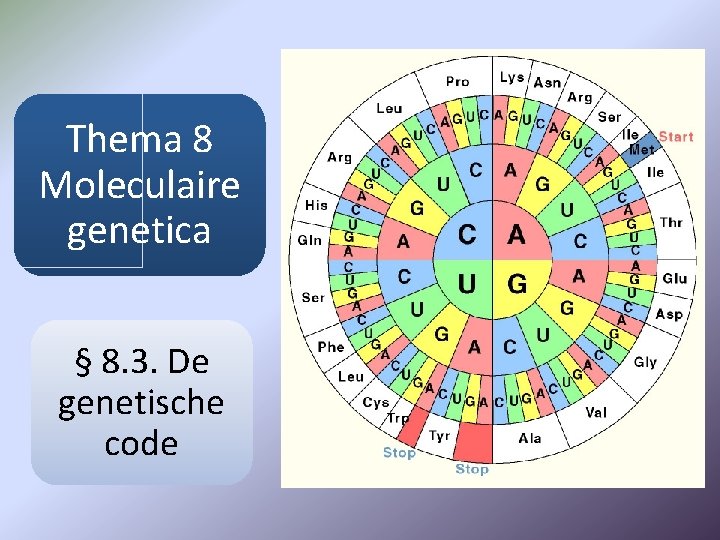 Thema 8 Moleculaire genetica 8 3 De genetische