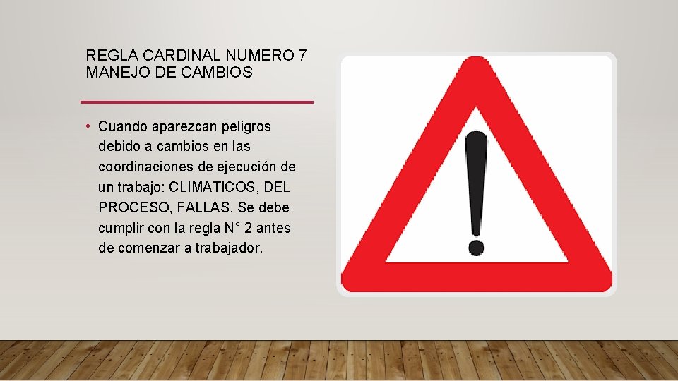 REGLAS CARDINALES DE SEGURIDAD PROGRAMA DE PREVENCION DE