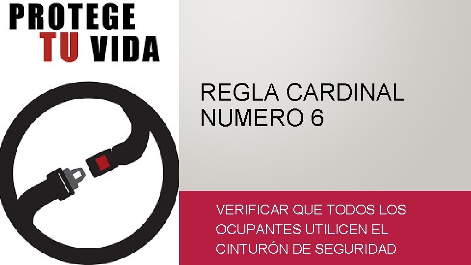 REGLAS CARDINALES DE SEGURIDAD PROGRAMA DE PREVENCION DE