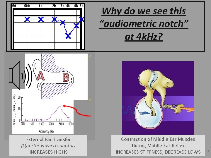 INDUSTRIAL AUDIOLOGY and HEARING CONSERVATION What You Dont
