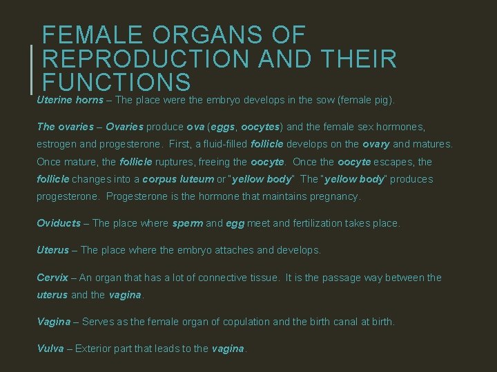 Animal Science Reproduction Genetics Lesson 1 Female Anatomy