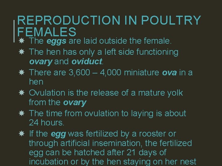 Animal Science Reproduction Genetics Lesson 1 Female Anatomy