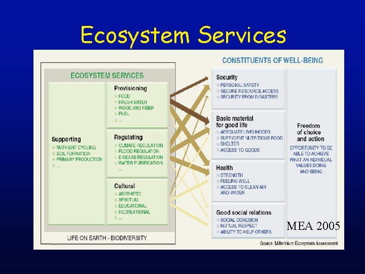 Biodiversity what it is and why were losing