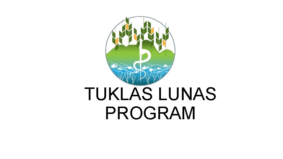 TUKLAS LUNAS PROGRAM Department of Science and Technology
