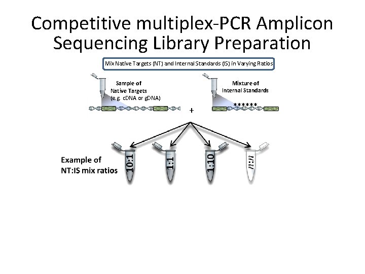 Competitive multiplexPCR Amplicon Sequencing Library Preparation ...