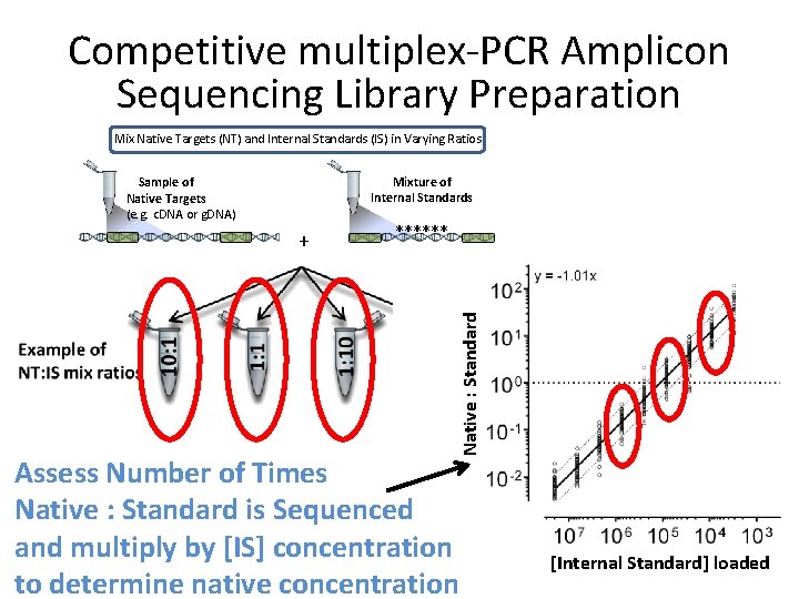 Competitive multiplexPCR Amplicon Sequencing Library Preparation ...