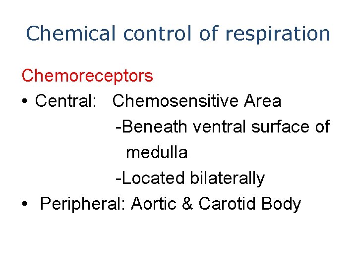 Respiratory System Dr Archna Ghildiyal Associate Professor Department
