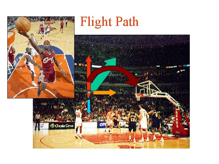 The Physics of Sports Chicago Public Library Richard