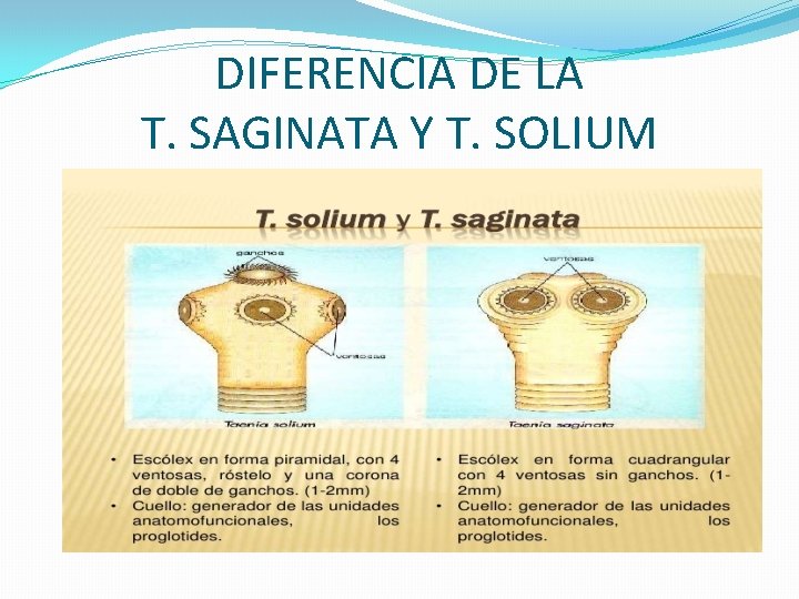 TENIASIS Teniasis Es una enfermedad producida por la