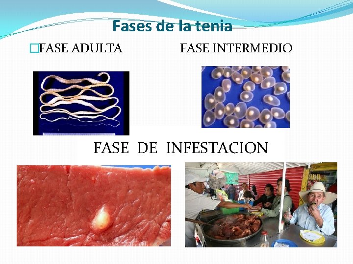 TENIASIS Teniasis Es una enfermedad producida por la