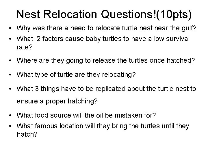 Marine Reptiles and Birds Chapter 13 Marine Biology