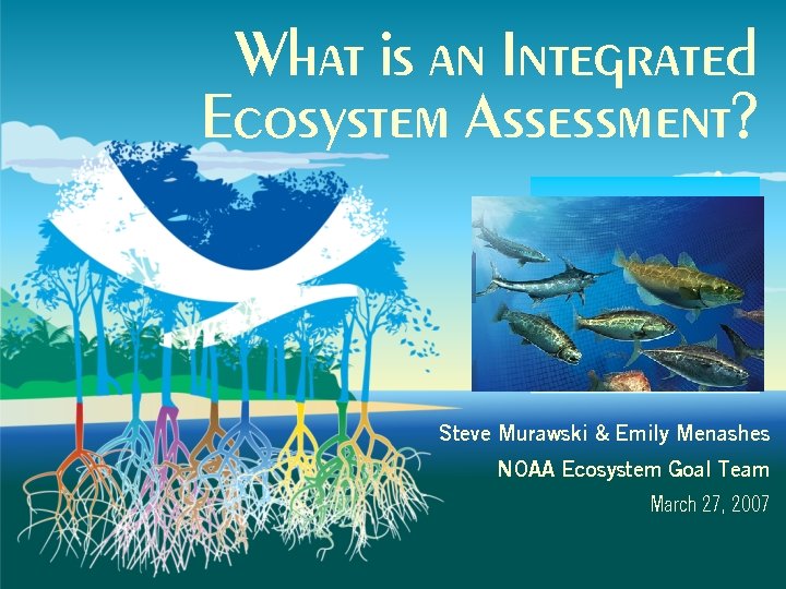 What is an Integrated Ecosystem Assessment Steve Murawski