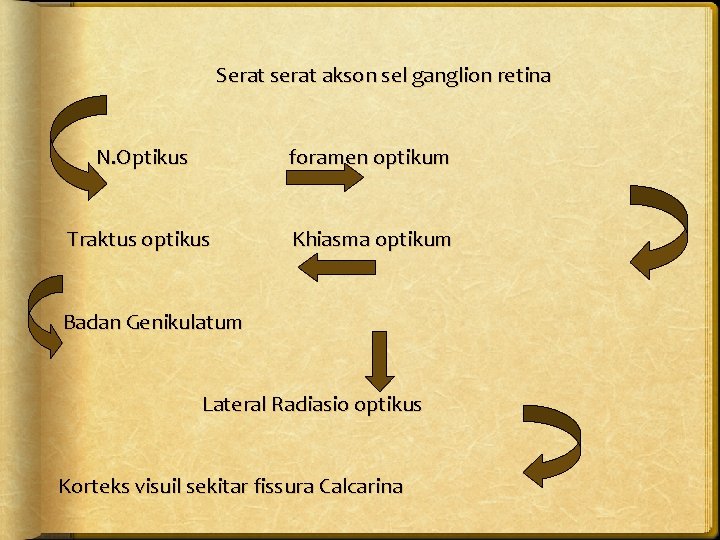 Lapangan Pandang M Hidayat Bag Mata FK UnandRS