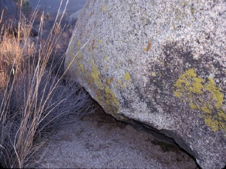 Weathering Mass Wasting and Erosion In previous chapters