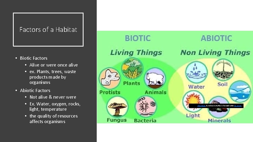 Living Things the Environment Populations are affected by