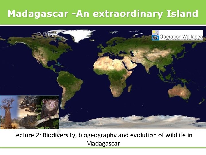 WALLACE RESOURCE LIBRARY Lecture 02 Evolution and Biodiversity