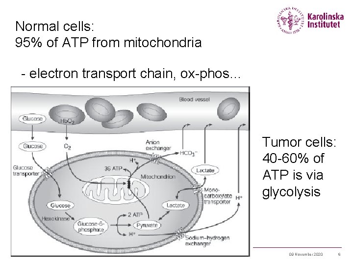 Energy metabolism and redox the cancer cell scenario