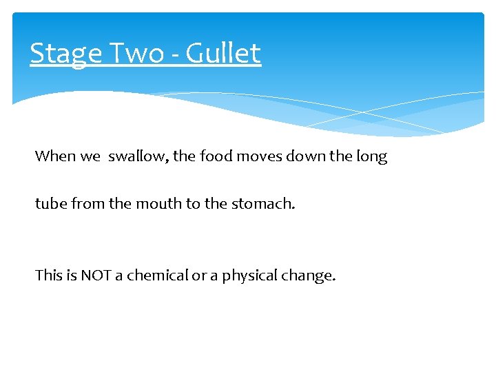 Food and Digestion Where does our food go