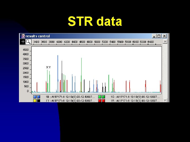 Forensic DNA Analysis Criminalist Harry Klann DNA Technical