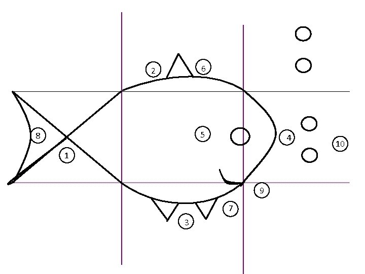 Standard Work Game Fish Edition 1 Standard Fish