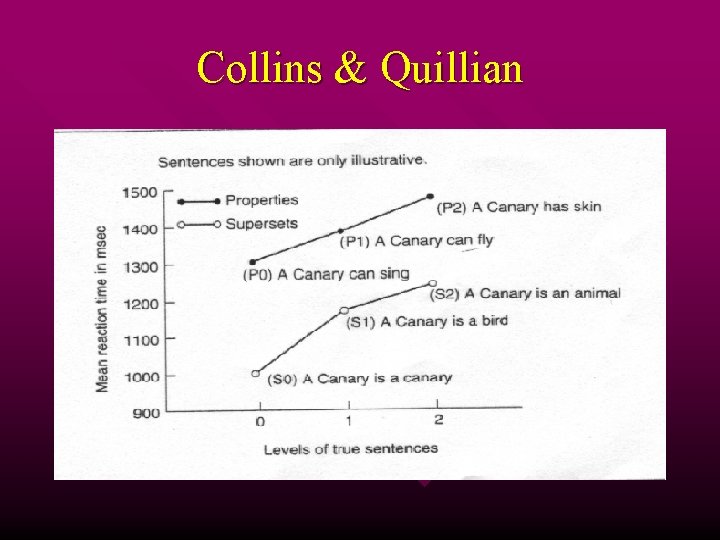 Long Term Memory Semantic Kimberley Clow kclow 2uwo