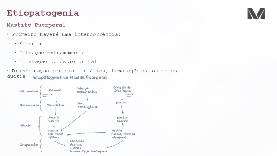 Mastites Obstetrcia Dra Mirella Gomes Souza Obstetra e