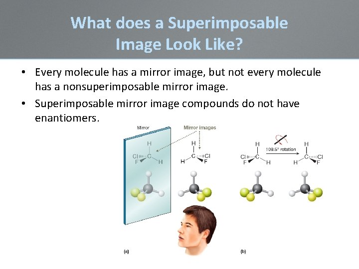 Organic Chemistry PRINCIPLES AND MECHANISMS Chapter 5 Lecture