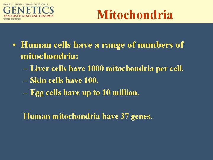 Chapter 16 Mitochondrial DNA and Extranuclear Inheritance Jones
