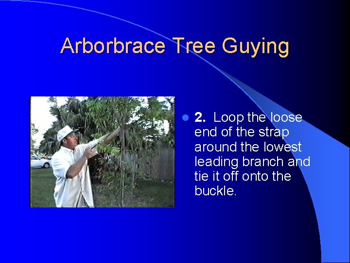 Arborbrace Tree Staking Systems A Simple Cost Effective