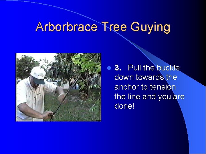 Arborbrace Tree Staking Systems A Simple Cost Effective