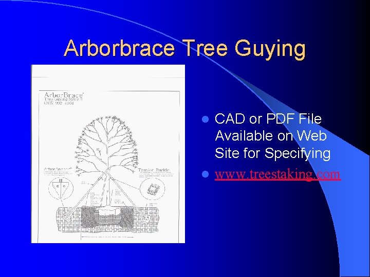 Arborbrace Tree Staking Systems A Simple Cost Effective