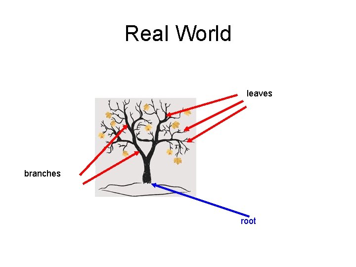 Binary Tree Sub Topik Penjelasan Tree Istilah pada